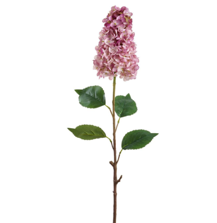 Lilac Cone Hydrangea – Madison & Co