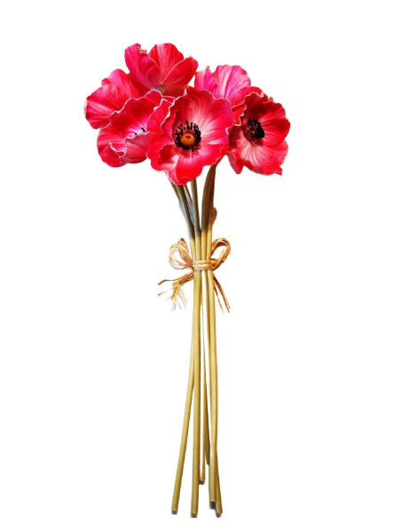 Pink Mini Poppy Bundle – Madison & Co